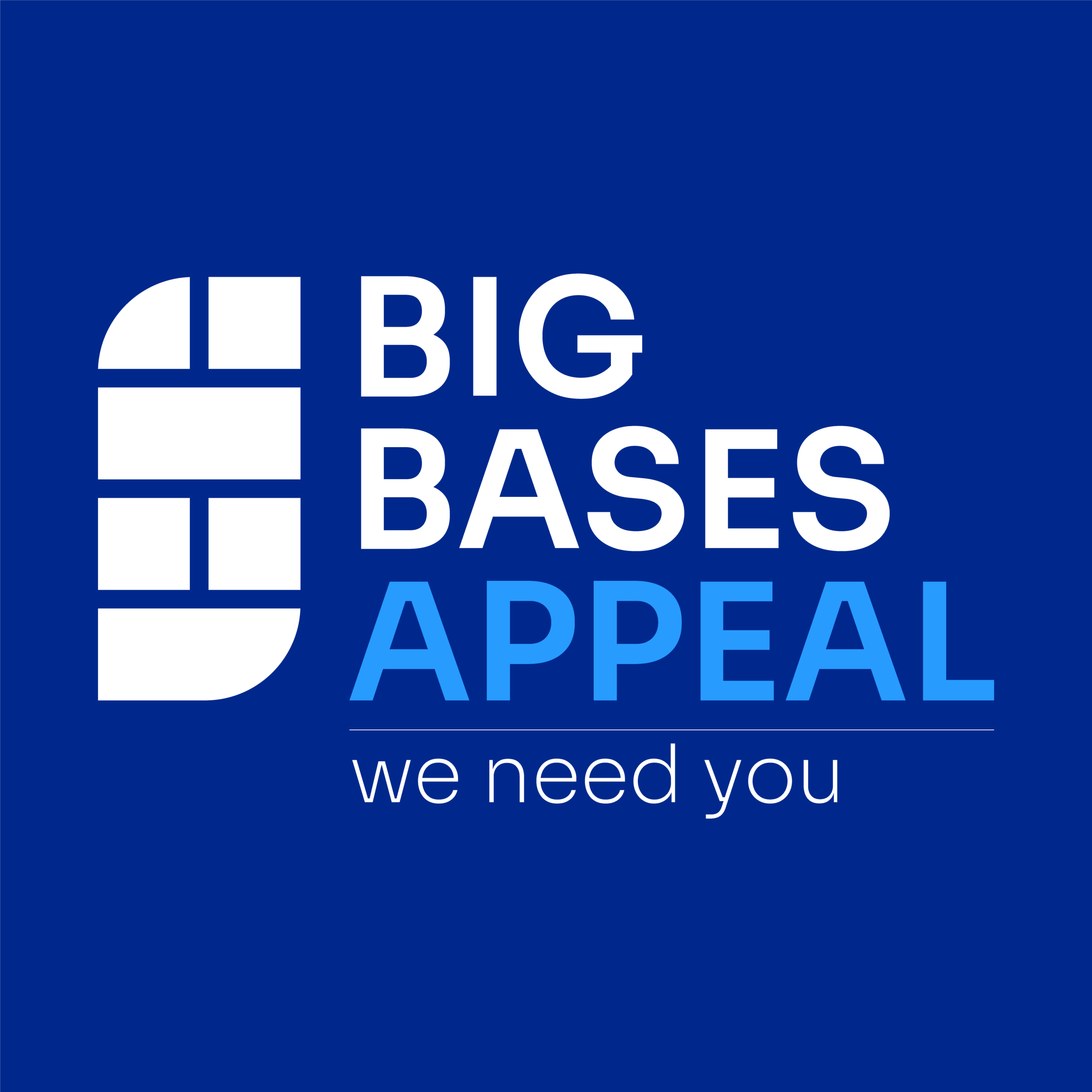 Homepage - Big Bases Appeal